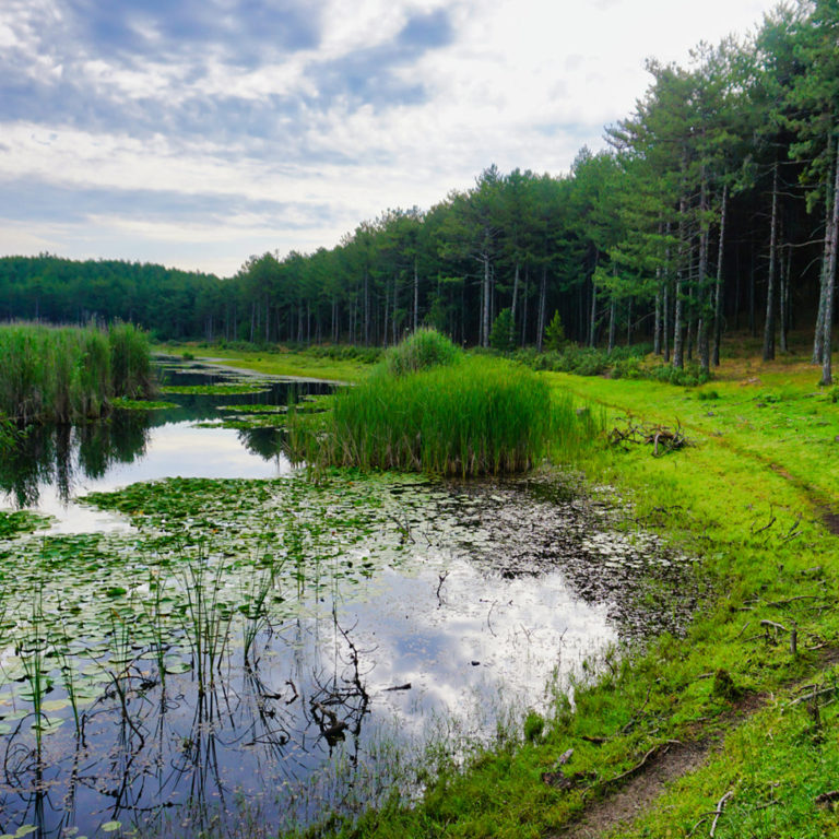 Buldan Belediyesi – Buldan Belediyesi Kurumsal Web Sitesi.